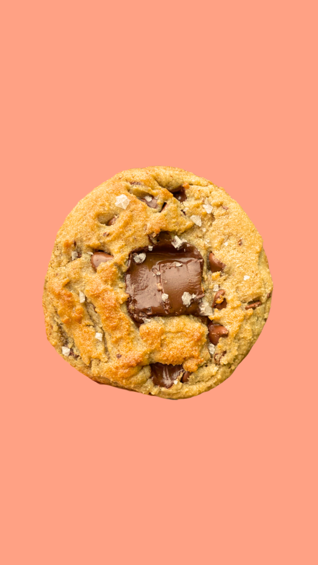 Cookies – Quarantine Cookie