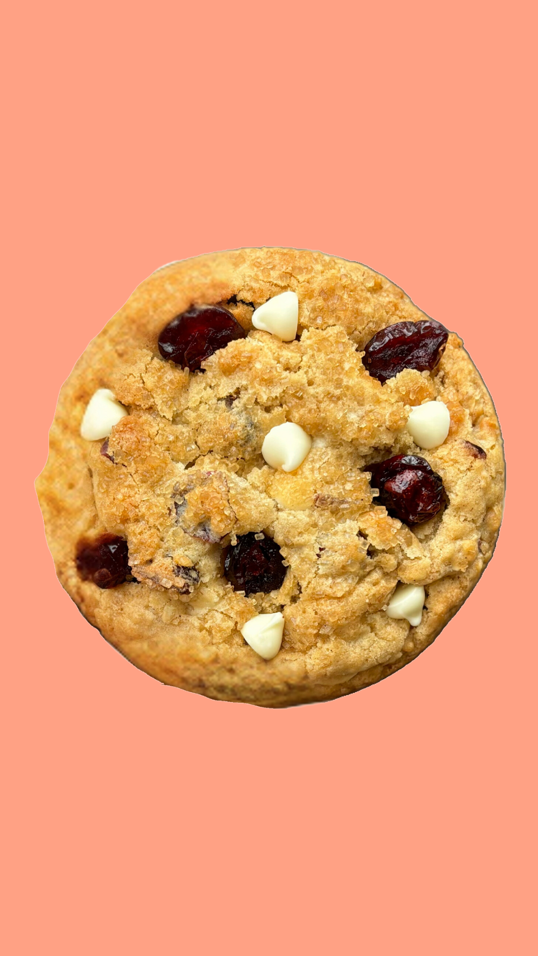 Cookies – Quarantine Cookie