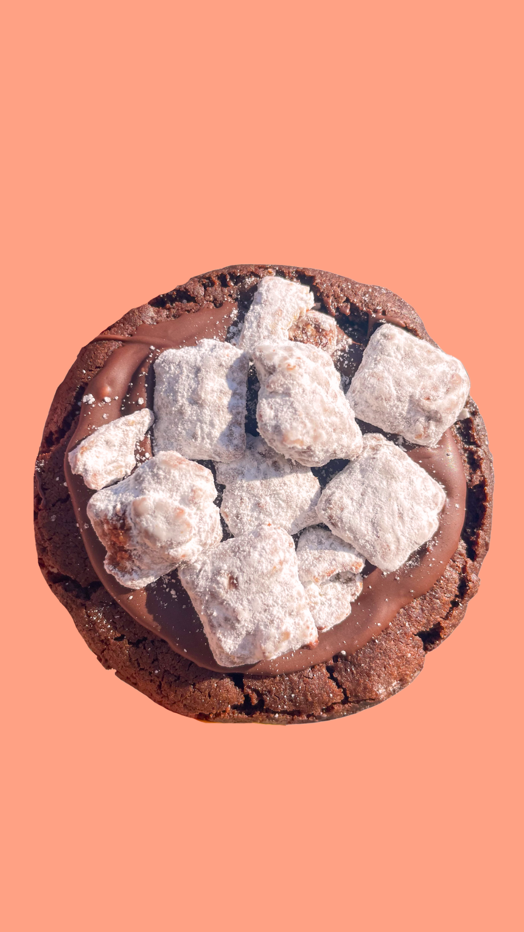 Cookies – Quarantine Cookie